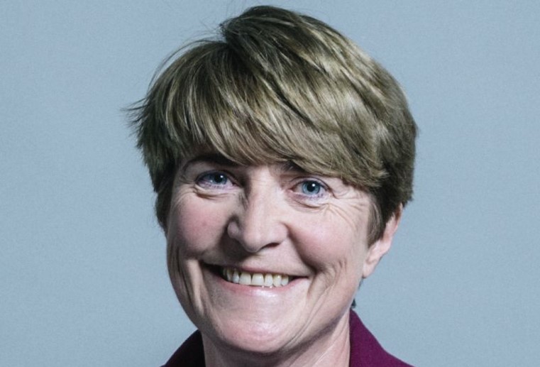 Dr Patsy Richards appointed interim Chief Executive Officer of the ...